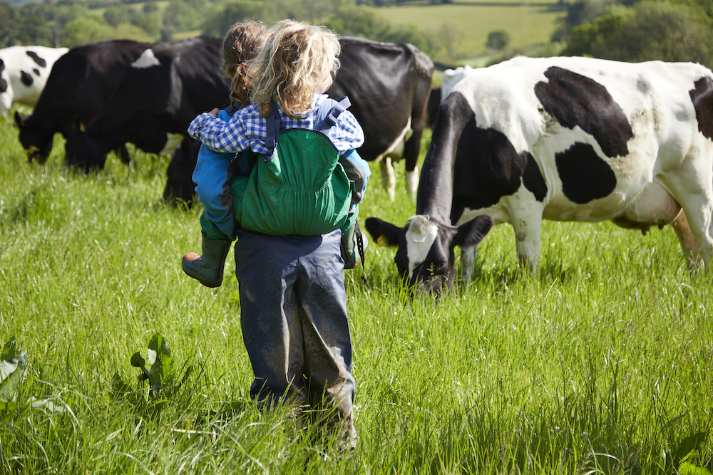 Home Farm | Yeo Valley Regenerative Farming