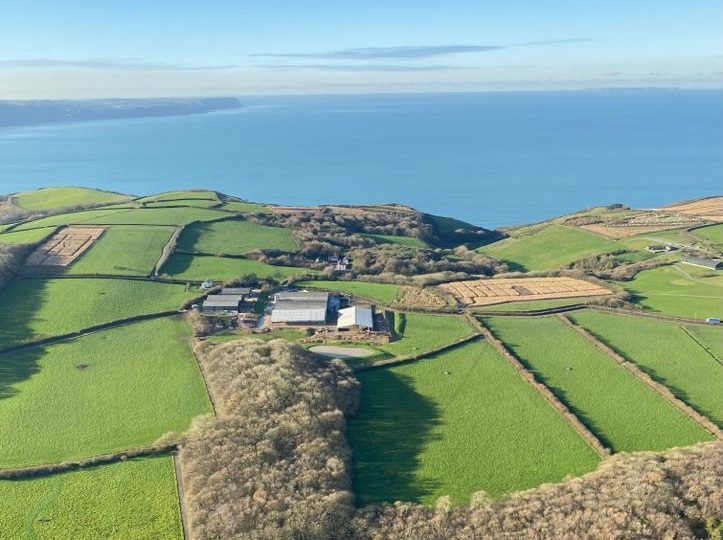 Moo Moo Organic Dairy Farm - Yeo Valley Regenerative Farming